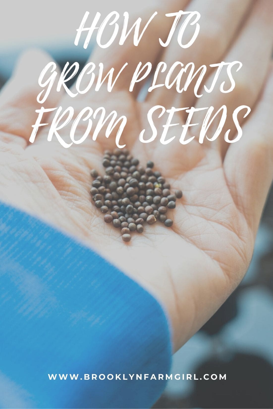 How To Grow Broccoli From Seeds - Brooklyn Farm Girl