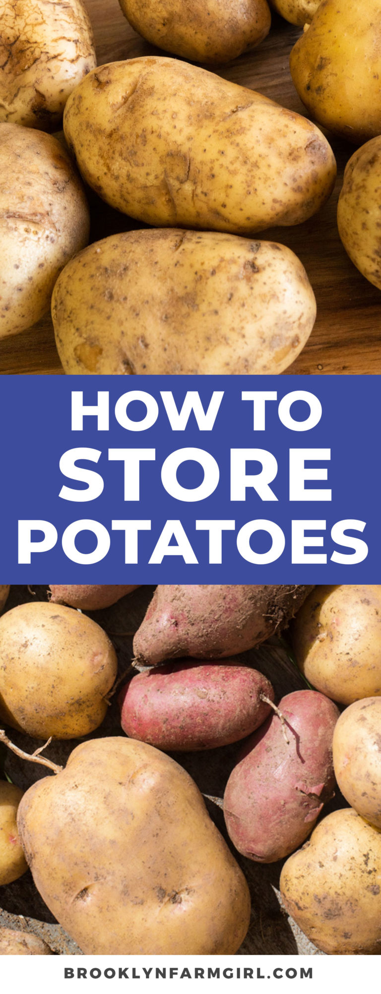How to Store Potatoes for a Long Time - Brooklyn Farm Girl