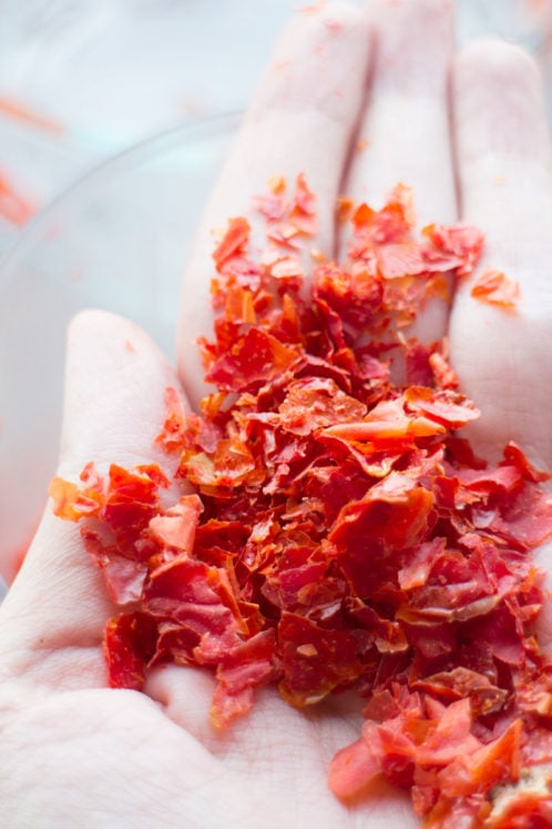 How to Make Tomato Powder Out of Tomato Skins - Brooklyn Farm Girl