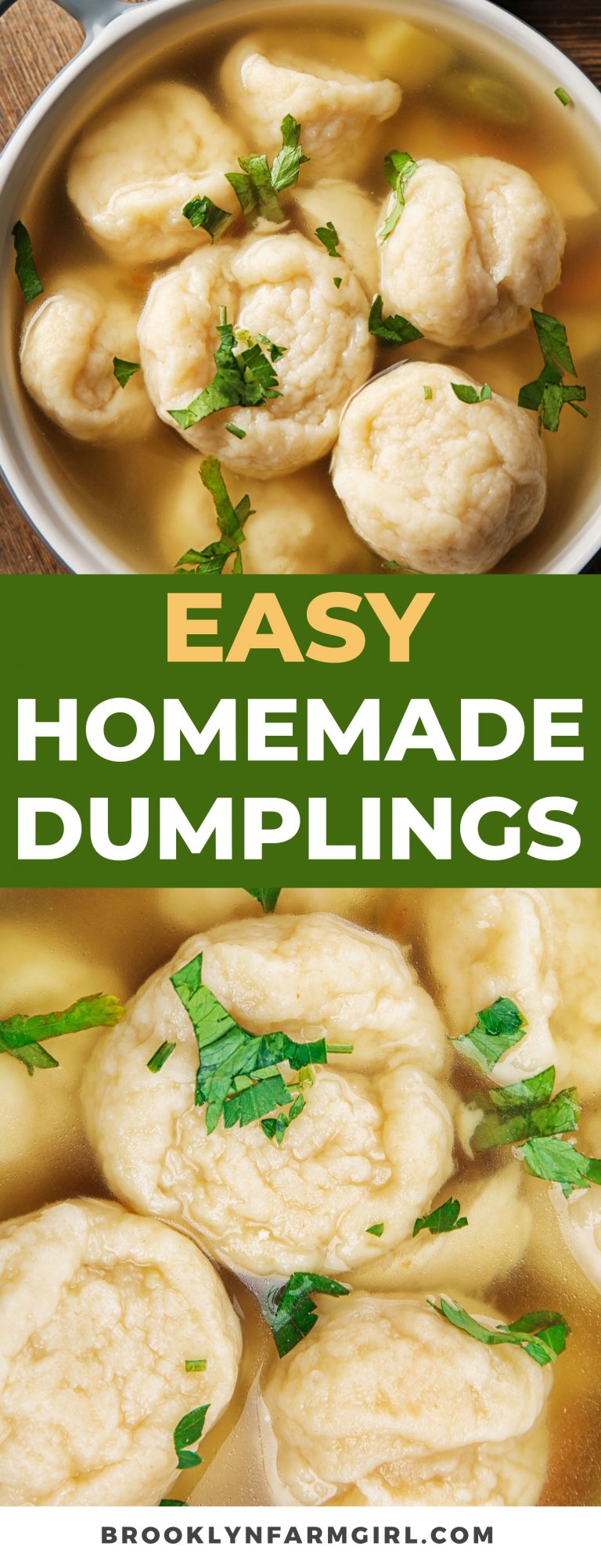 Homemade Dumplings - Brooklyn Farm Girl