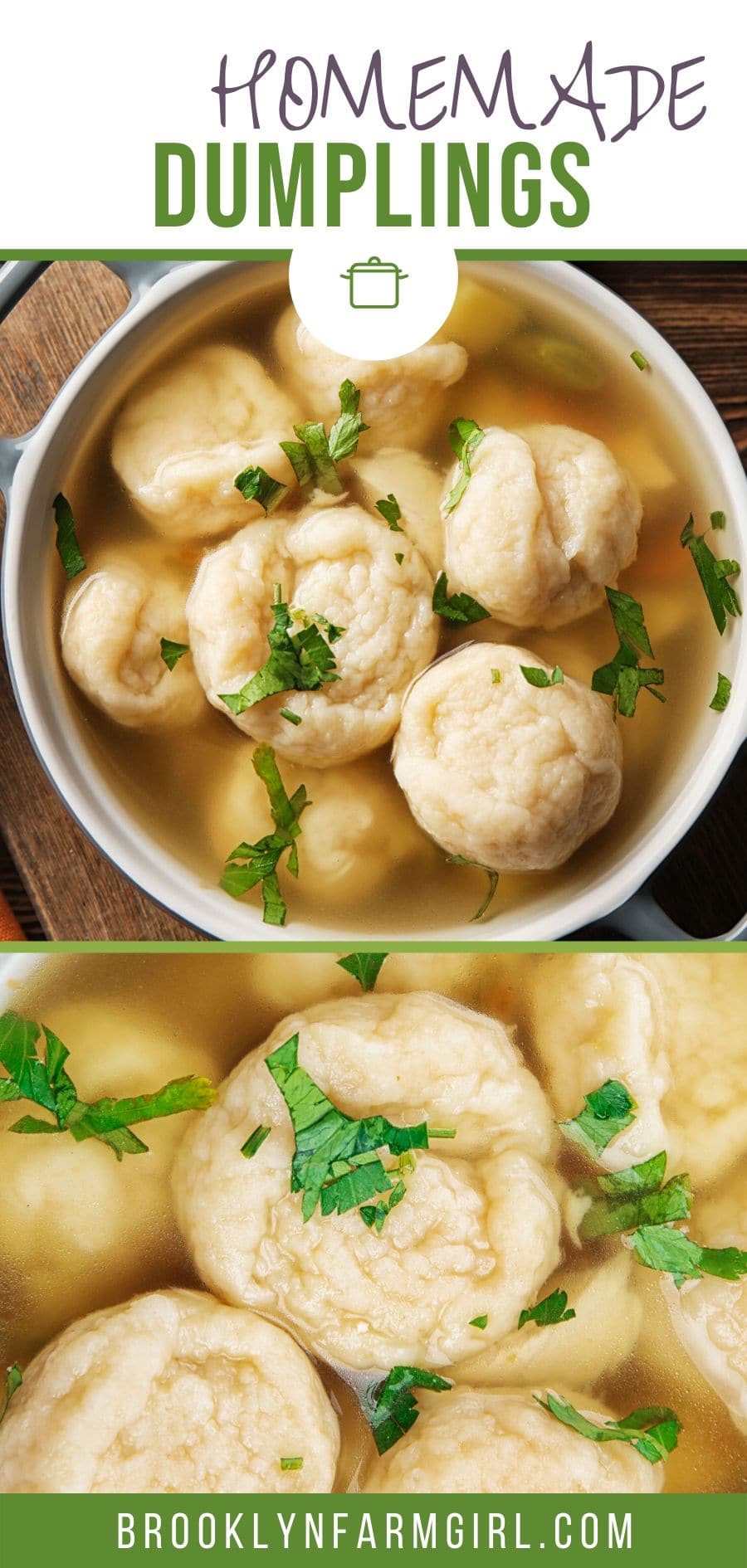 Homemade Dumplings - Brooklyn Farm Girl