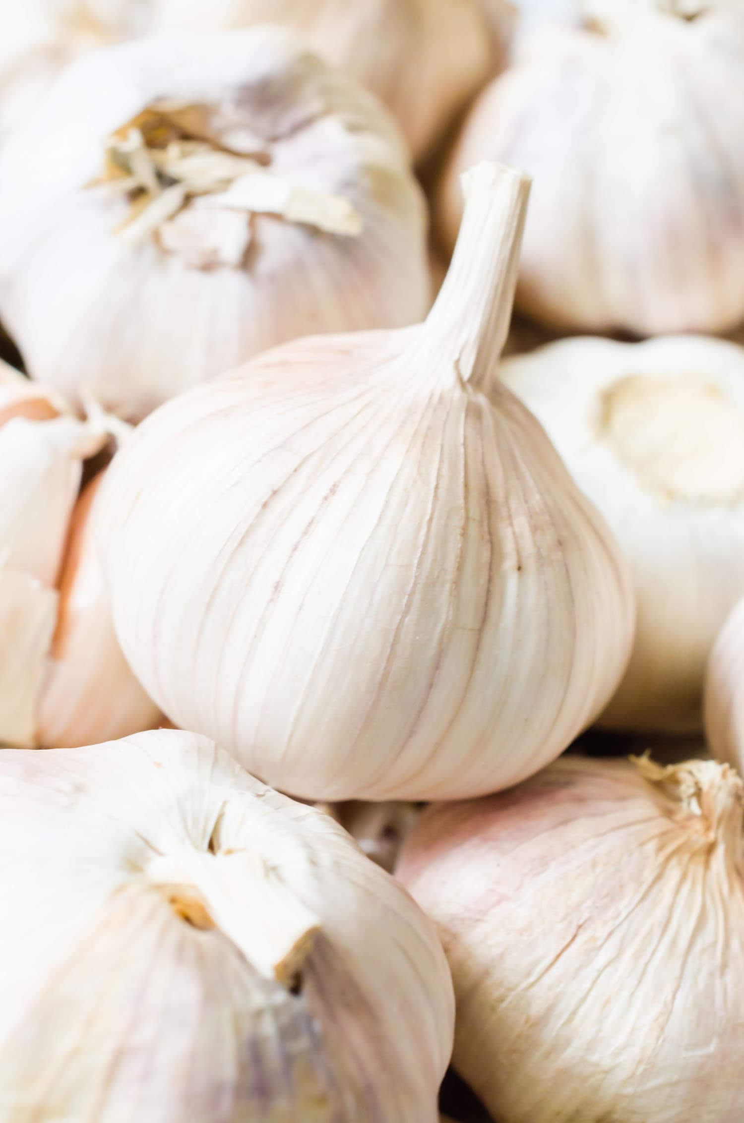How to Store Garlic For a Long Time - Brooklyn Farm Girl