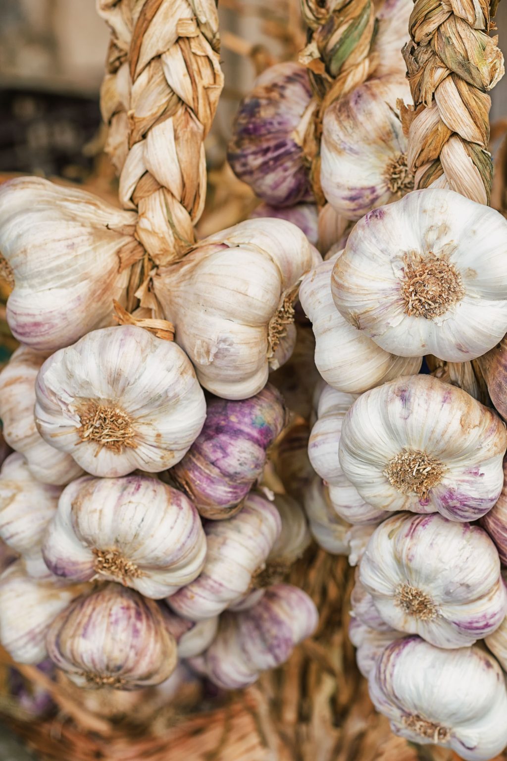 How to Store Garlic For a Long Time - Brooklyn Farm Girl