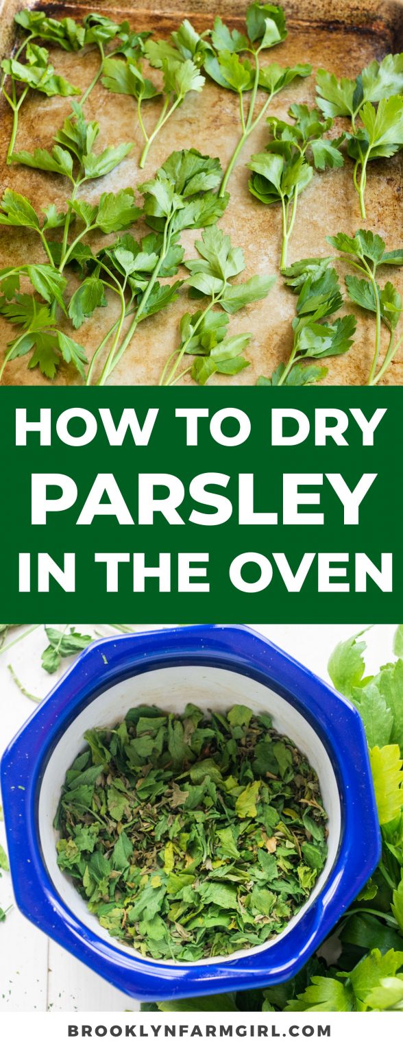 How to Dry Parsley in the Oven - Brooklyn Farm Girl