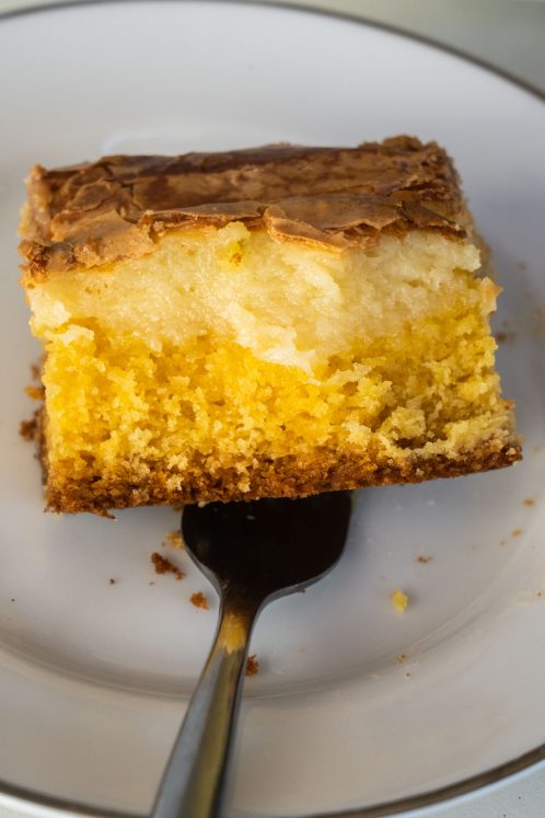Cake Mix Butter Cake - Brooklyn Farm Girl