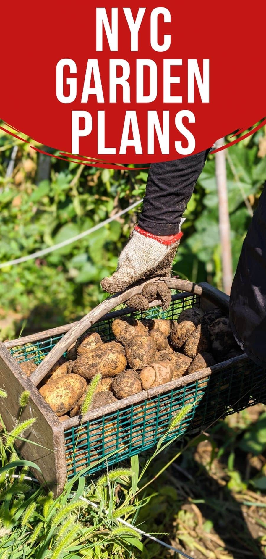 2021 Vegetable Garden Plans for Zone 7 - Brooklyn Farm Girl