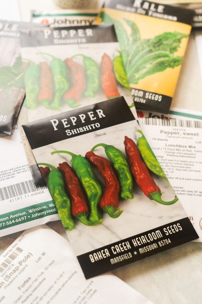 2021 Vegetable Garden Plans for Zone 7 - Brooklyn Farm Girl