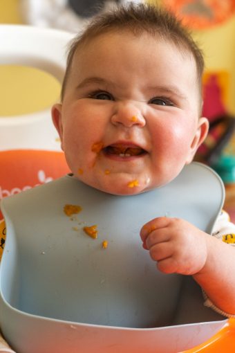 Sweet Potato Fries for Baby Led Weaning - Brooklyn Farm Girl