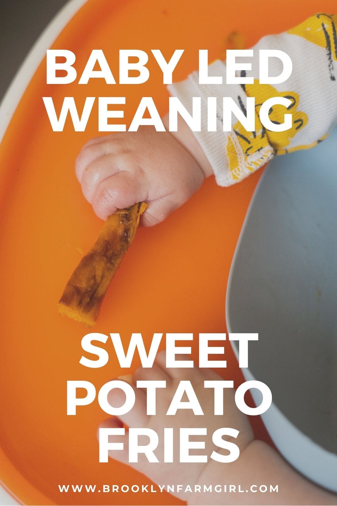 Sweet Potato Fries for Baby Led Weaning - Brooklyn Farm Girl