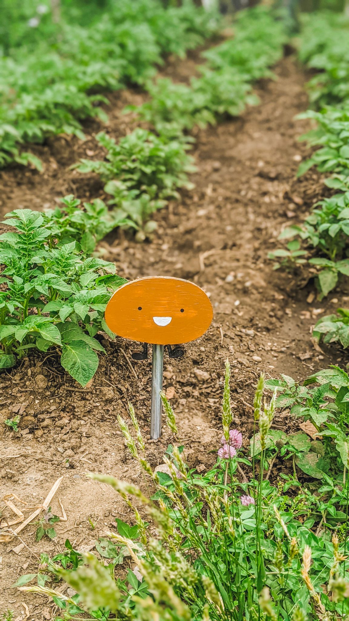 Cute Vegetable Garden Signs - Brooklyn Farm Girl