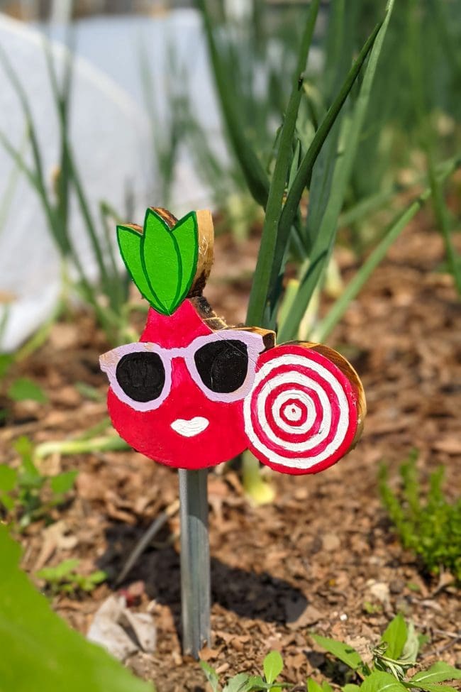 Growing Onions Over Winter (in NYC) - Brooklyn Farm Girl