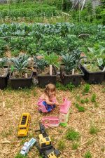 What's Growing in the Garden: Late June - Brooklyn Farm Girl