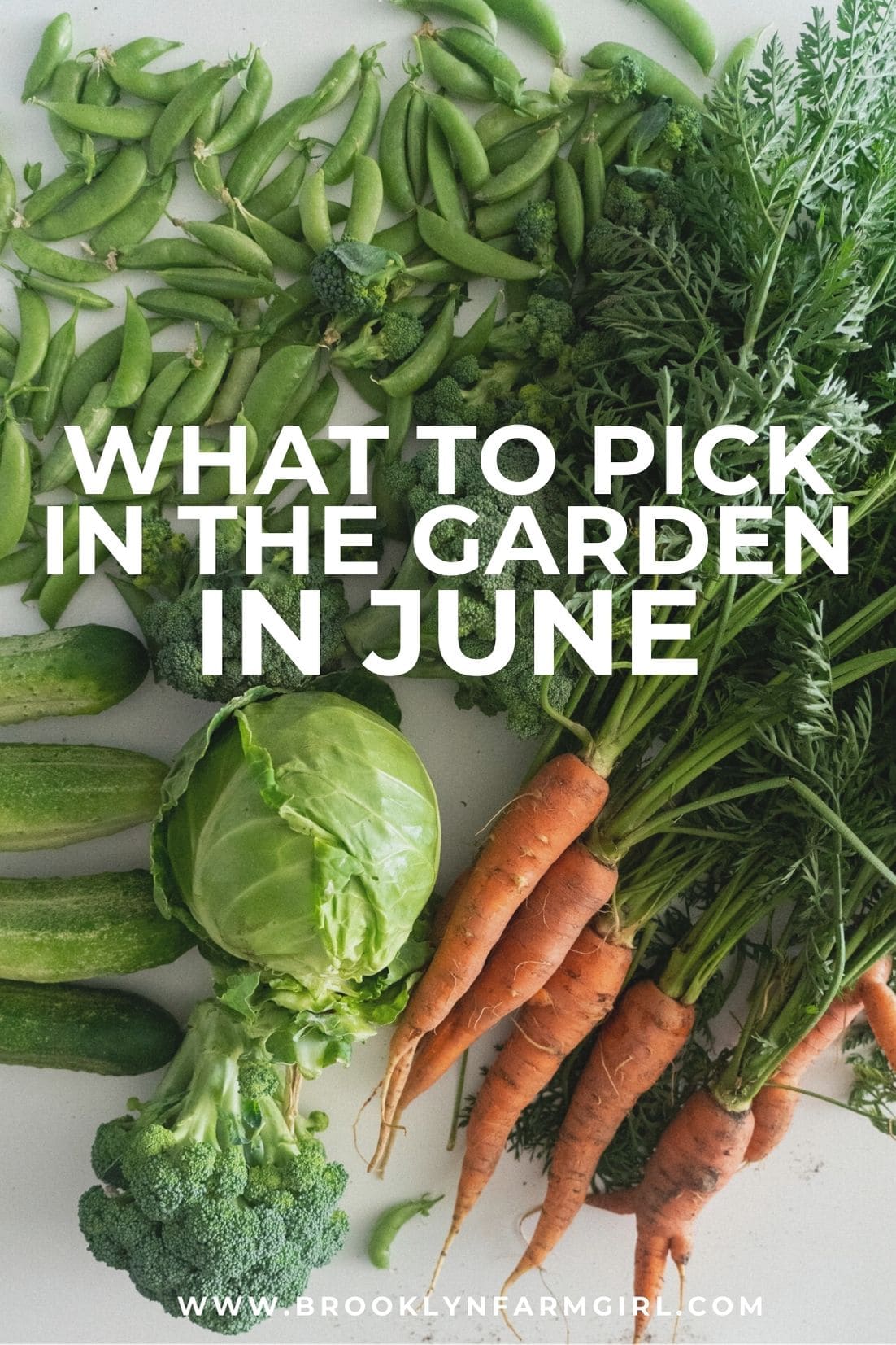 What's Growing in the Garden: Late June - Brooklyn Farm Girl
