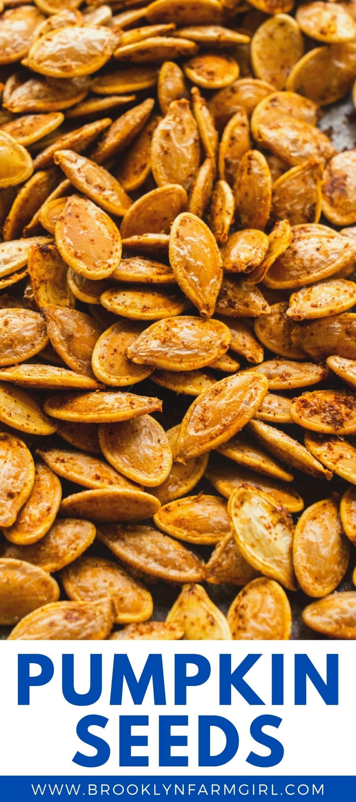 How to Roast Pumpkin Seeds - Brooklyn Farm Girl