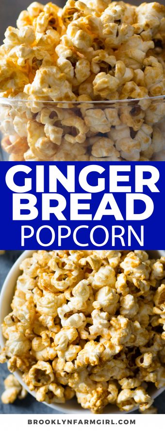 Gingerbread Popcorn - Brooklyn Farm Girl