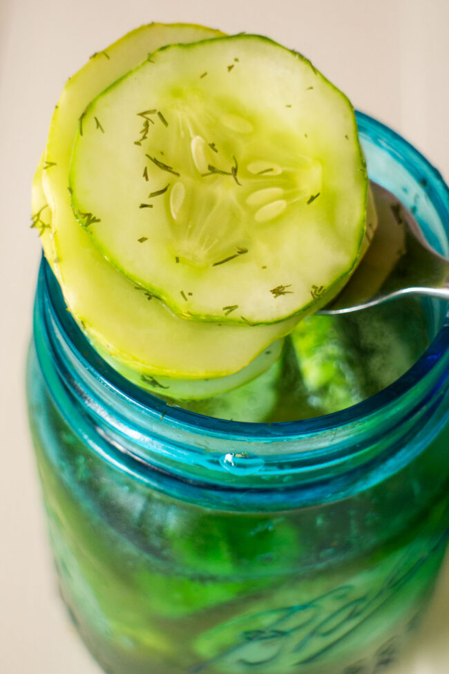24 Hour Dill Pickles (Crunchy Hamburger Pickles!) - Brooklyn Farm Girl