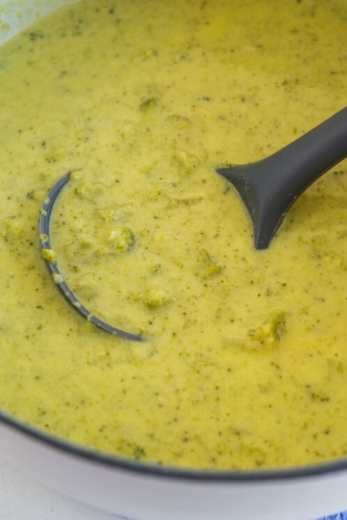 Frozen Cream of Broccoli Soup - Brooklyn Farm Girl