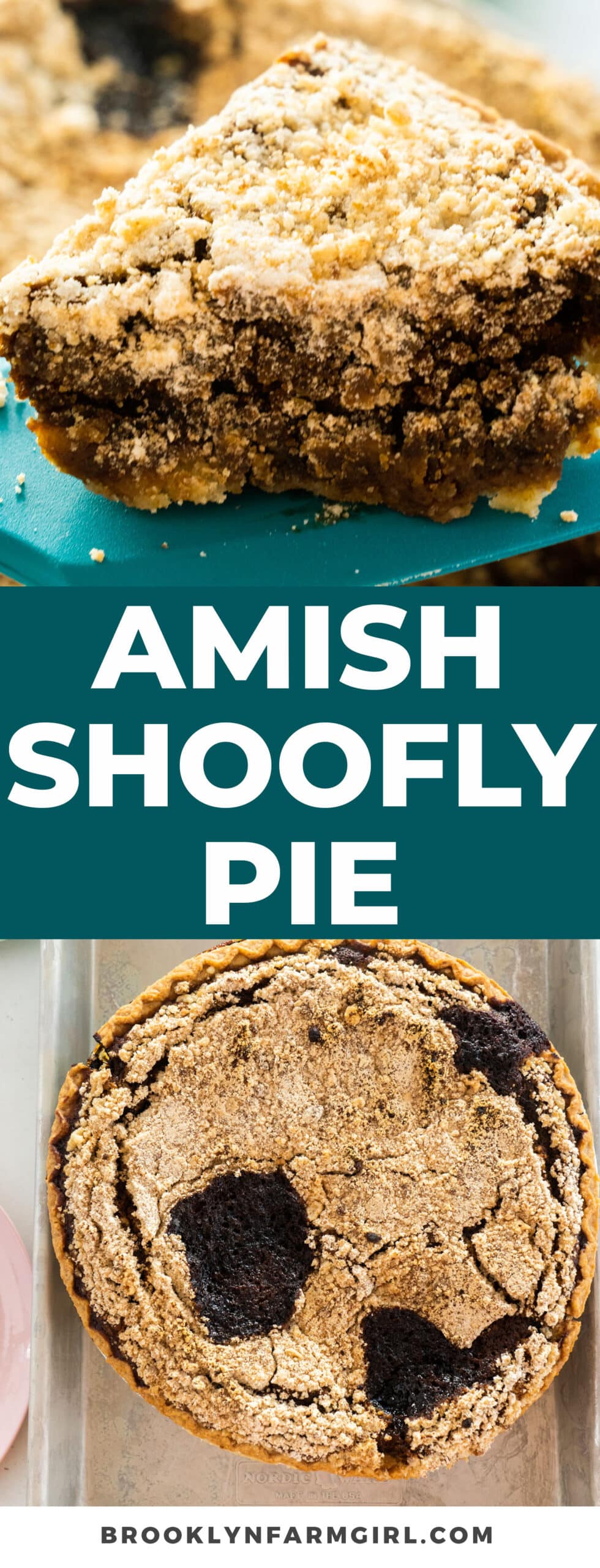 Amish Shoofly Pie - Brooklyn Farm Girl