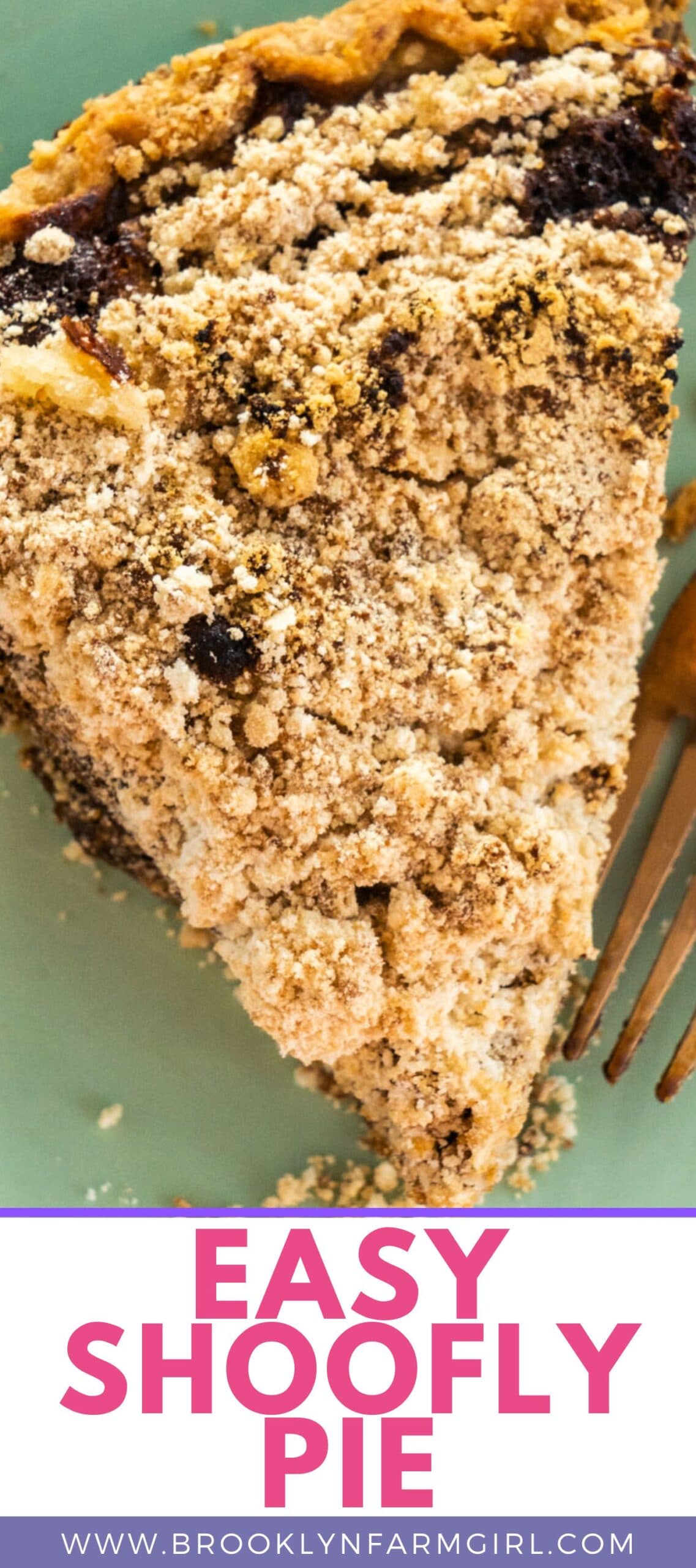 Amish Shoofly Pie - Brooklyn Farm Girl