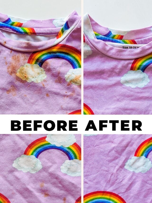 MAGIC Stain Remover for Clothes - Brooklyn Farm Girl