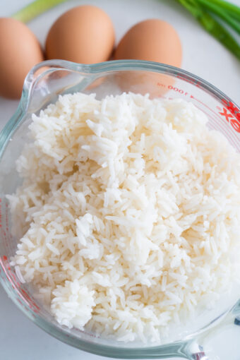Pork Fried Rice (Leftover Rice) - Brooklyn Farm Girl