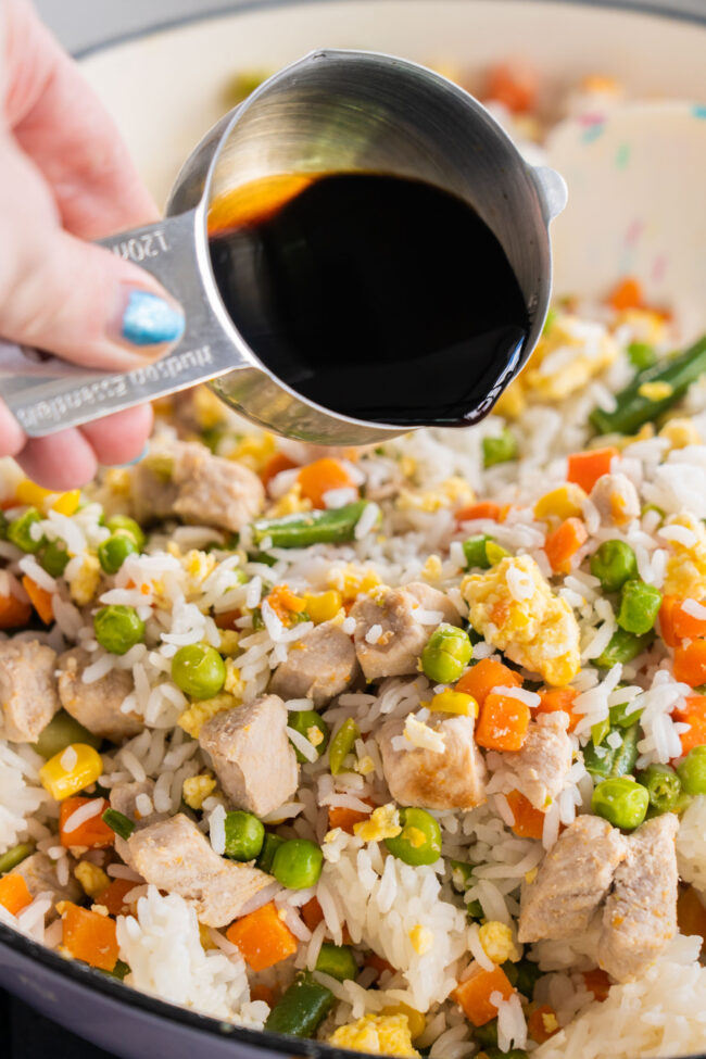 Pork Fried Rice (Leftover Rice) - Brooklyn Farm Girl