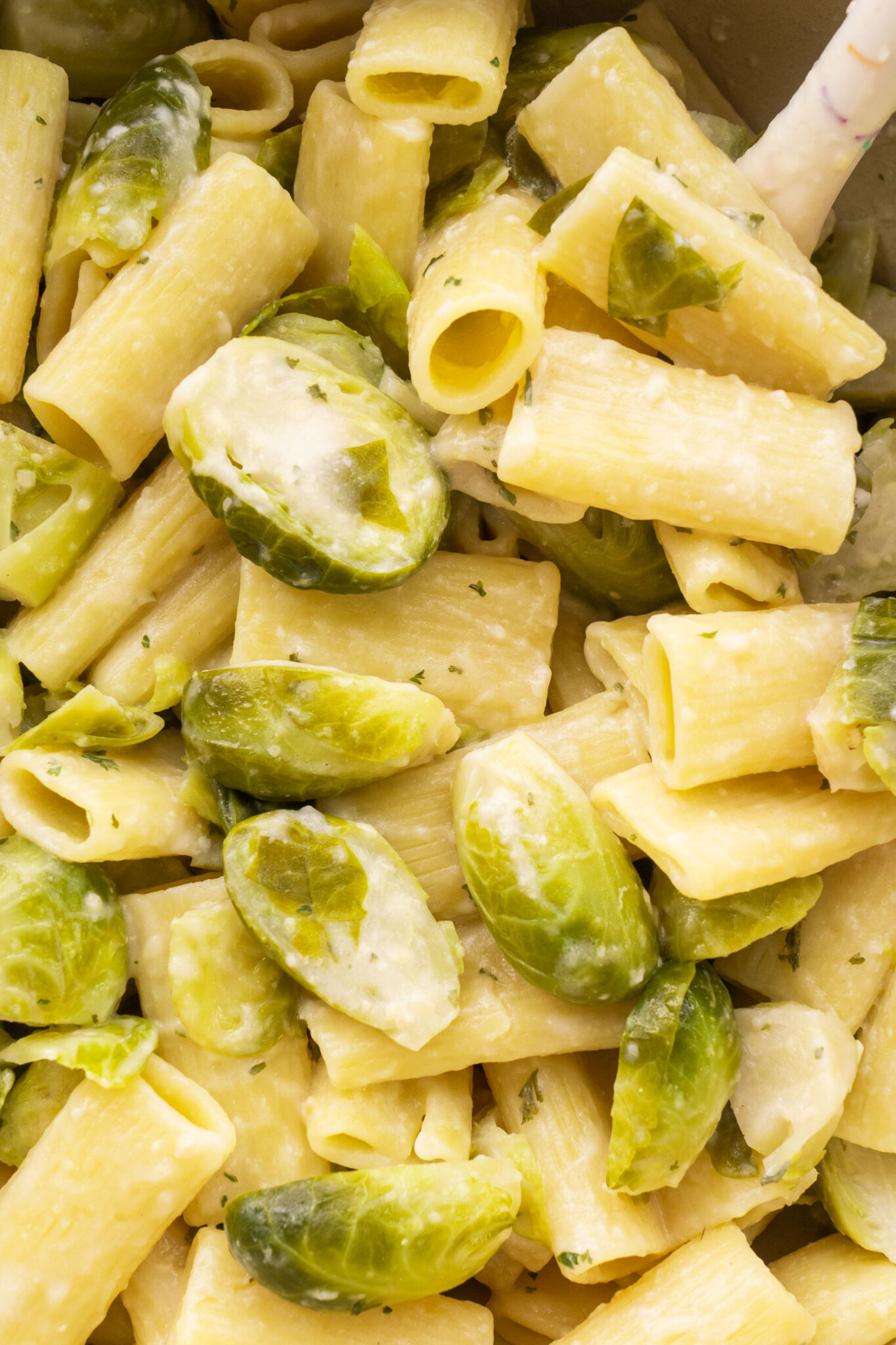 Creamy Brussels Sprouts Pasta - Brooklyn Farm Girl