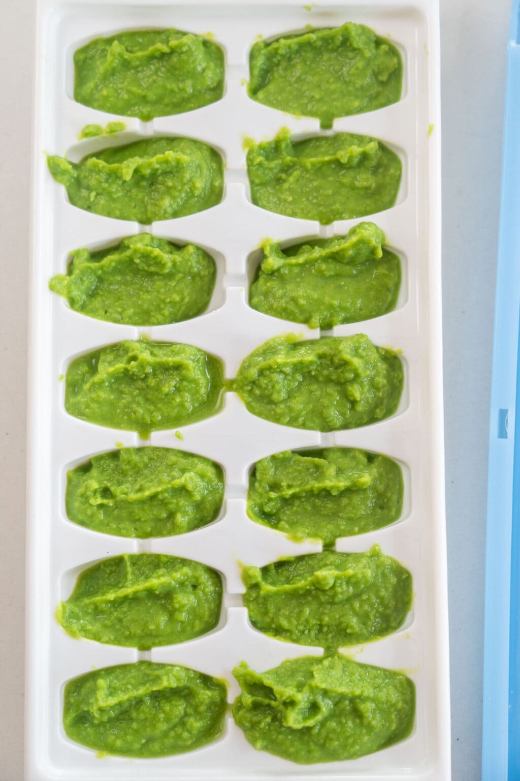 Homemade Pea Baby Food - Brooklyn Farm Girl