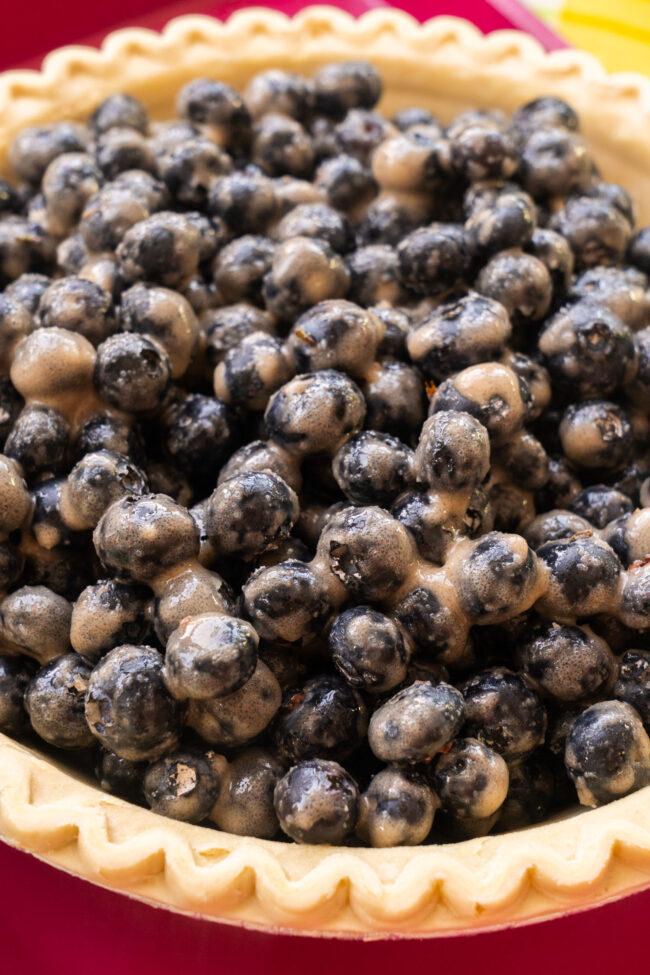 Foolproof Blueberry Pie with Fresh Blueberries - Brooklyn Farm Girl