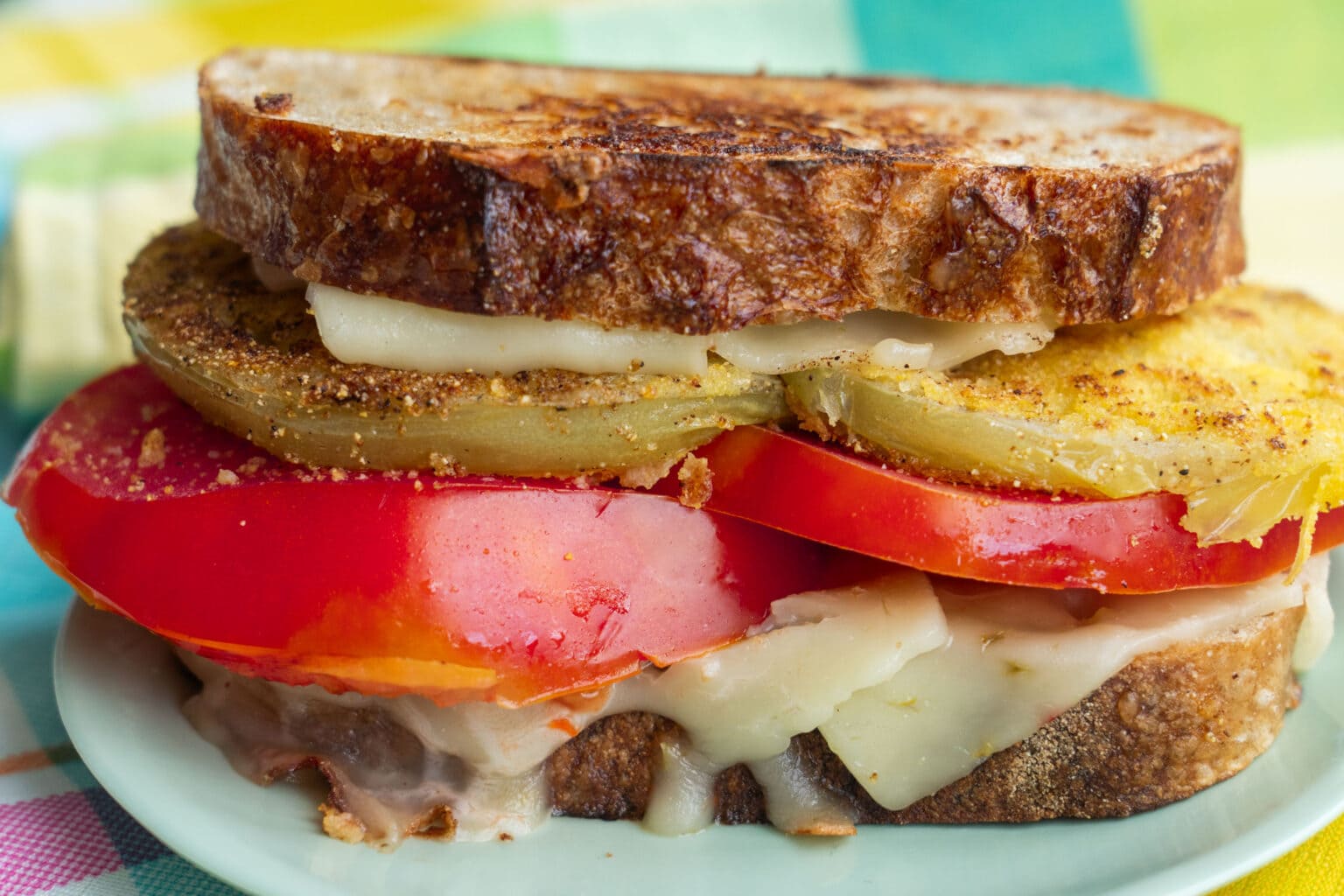 Quick Fried Green Tomato Sandwich (No Bacon!) - Brooklyn Farm Girl