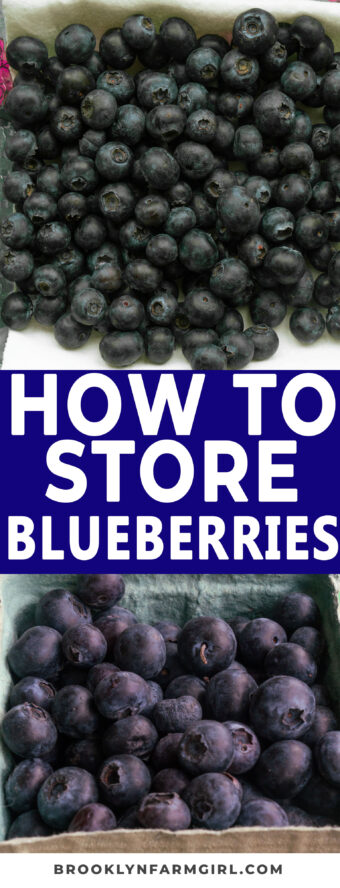 How to Store and Freeze Fresh Blueberries - Brooklyn Farm Girl