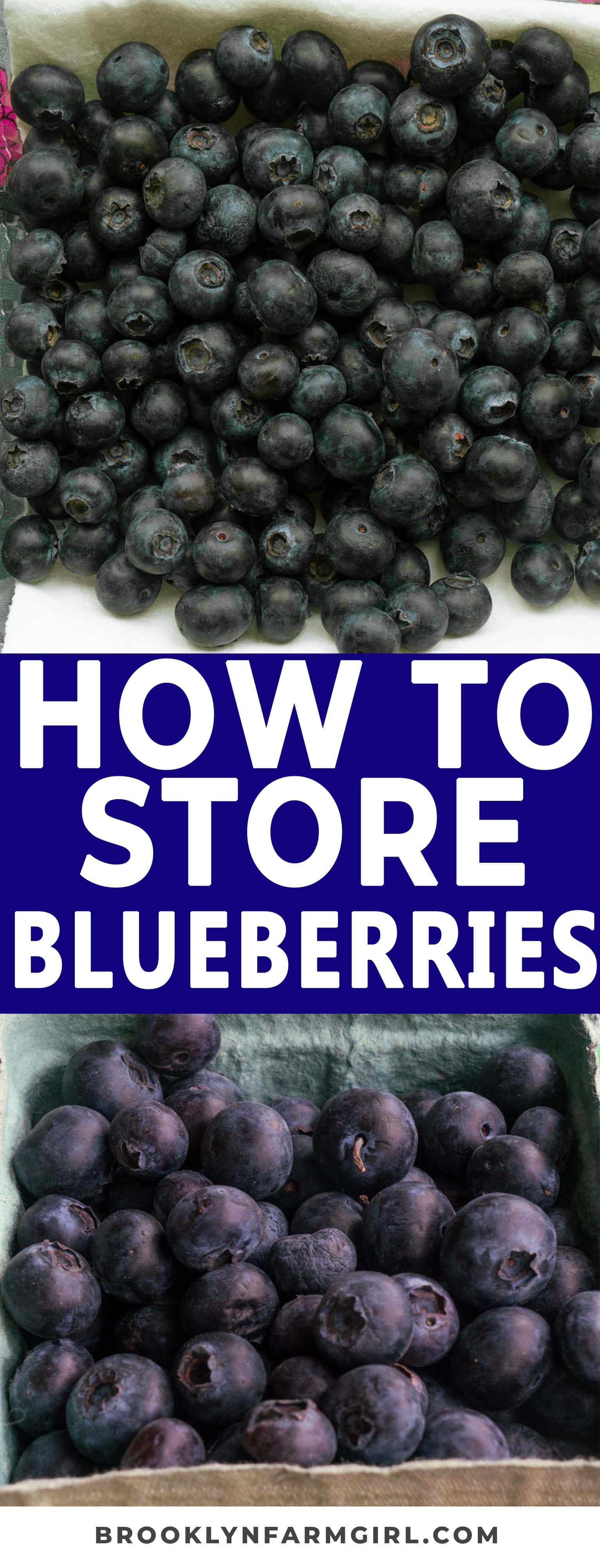 How to Store and Freeze Fresh Blueberries - Brooklyn Farm Girl