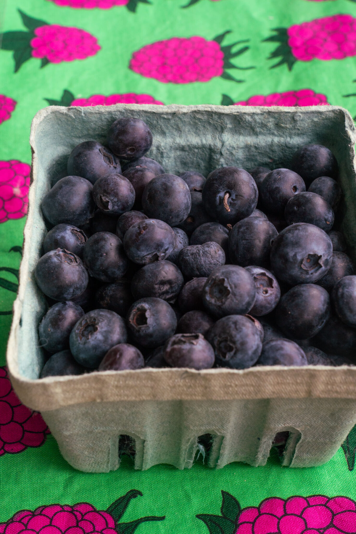 How to Store and Freeze Fresh Blueberries - Brooklyn Farm Girl