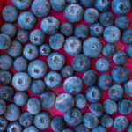 How to Store and Freeze Fresh Blueberries - Brooklyn Farm Girl