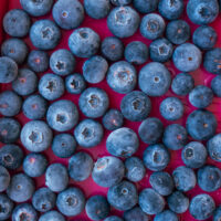 How to Store and Freeze Fresh Blueberries - Brooklyn Farm Girl