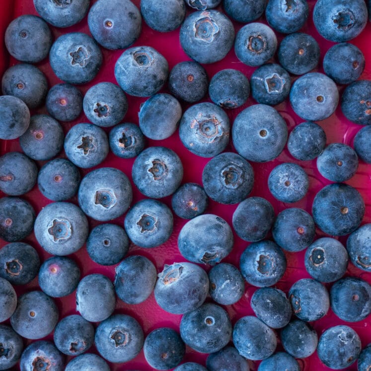 How to Store and Freeze Fresh Blueberries - Brooklyn Farm Girl