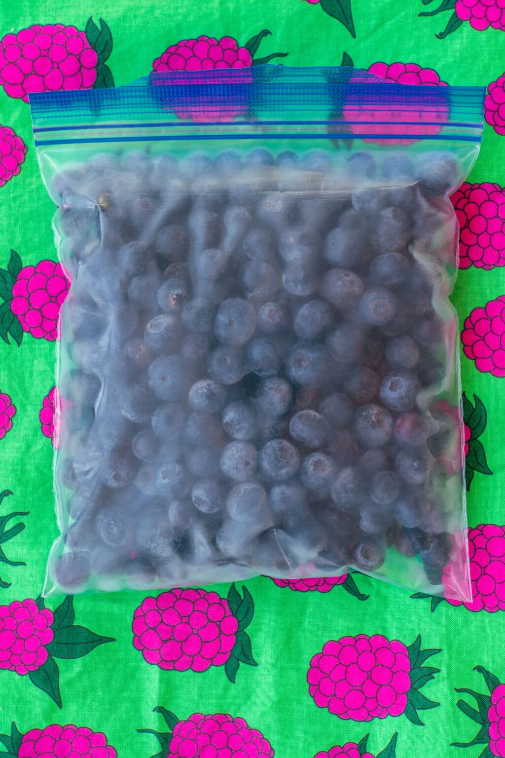 How to Store and Freeze Fresh Blueberries - Brooklyn Farm Girl