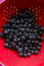 How to Store and Freeze Fresh Blueberries - Brooklyn Farm Girl
