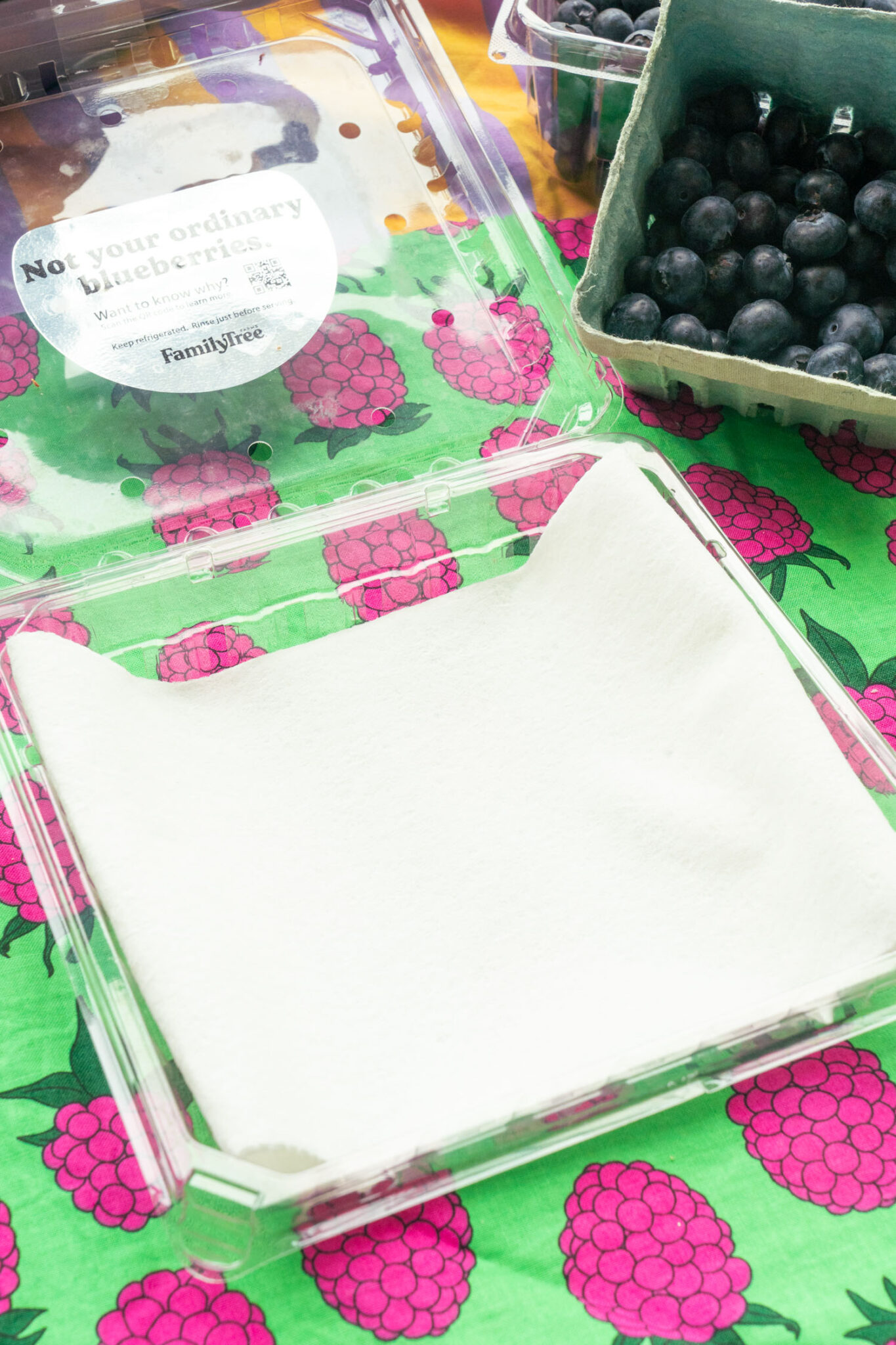 How to Store and Freeze Fresh Blueberries - Brooklyn Farm Girl