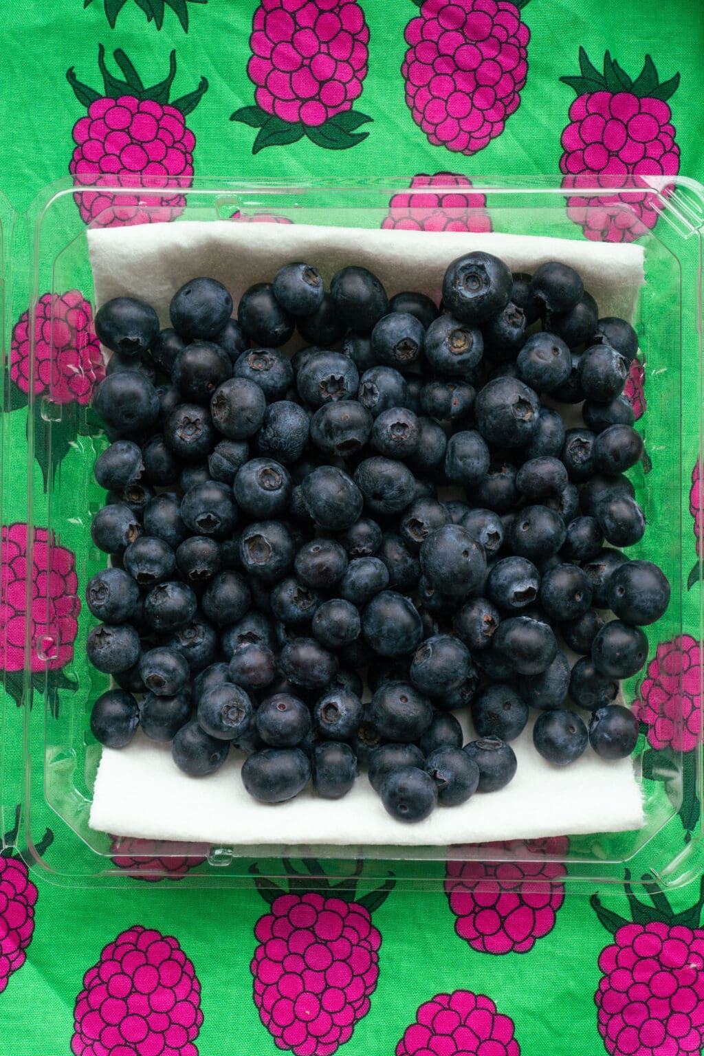 How to Store and Freeze Fresh Blueberries - Brooklyn Farm Girl