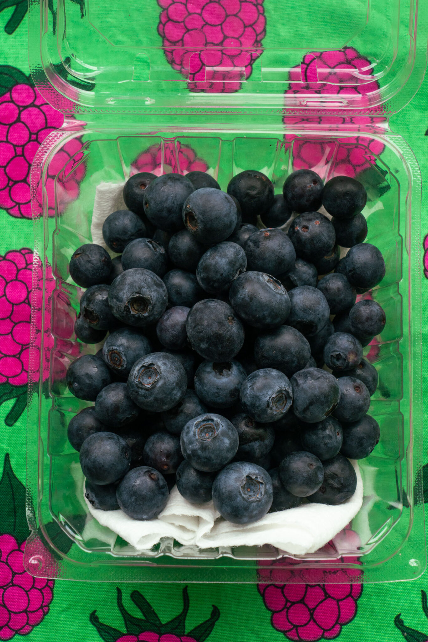 How to Store and Freeze Fresh Blueberries - Brooklyn Farm Girl