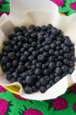 How to Store and Freeze Fresh Blueberries - Brooklyn Farm Girl