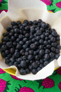 How to Store and Freeze Fresh Blueberries - Brooklyn Farm Girl