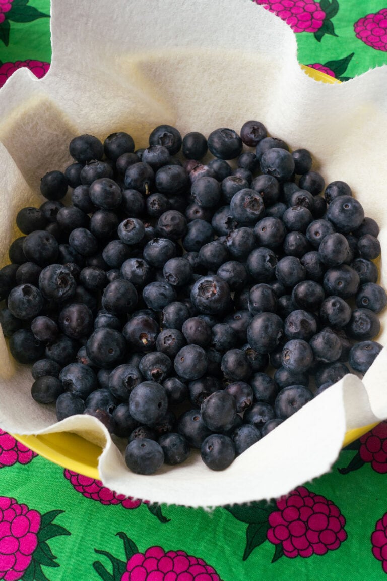 How to Store and Freeze Fresh Blueberries - Brooklyn Farm Girl