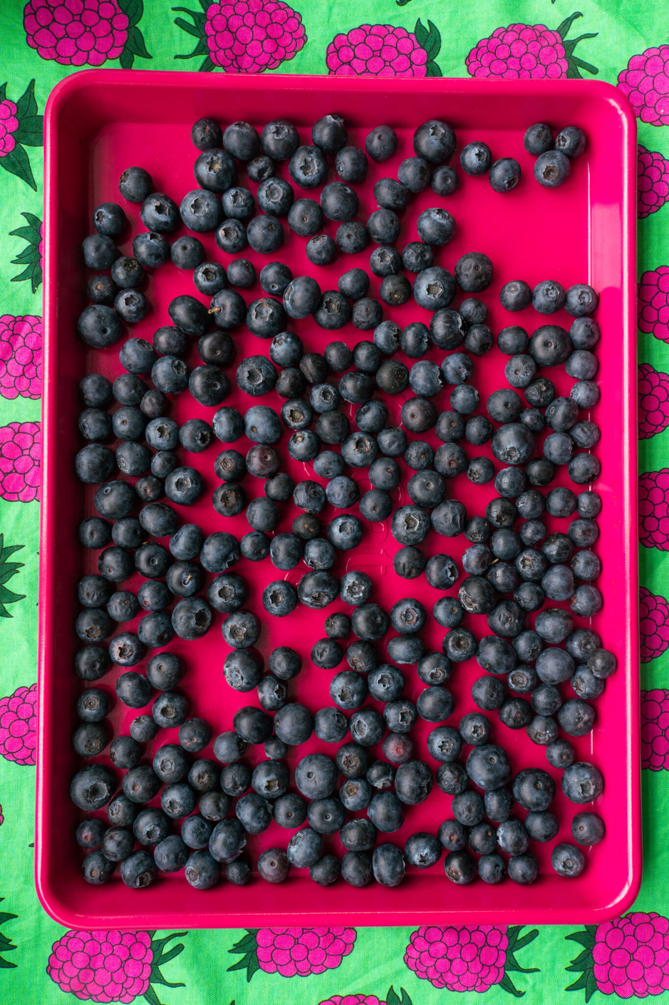 How to Store and Freeze Fresh Blueberries - Brooklyn Farm Girl