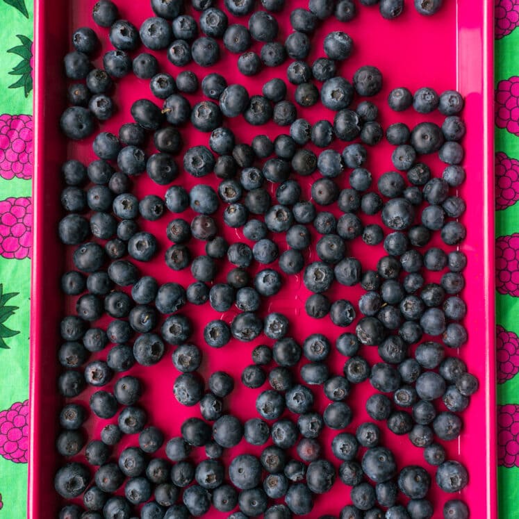 How to Store and Freeze Fresh Blueberries - Brooklyn Farm Girl