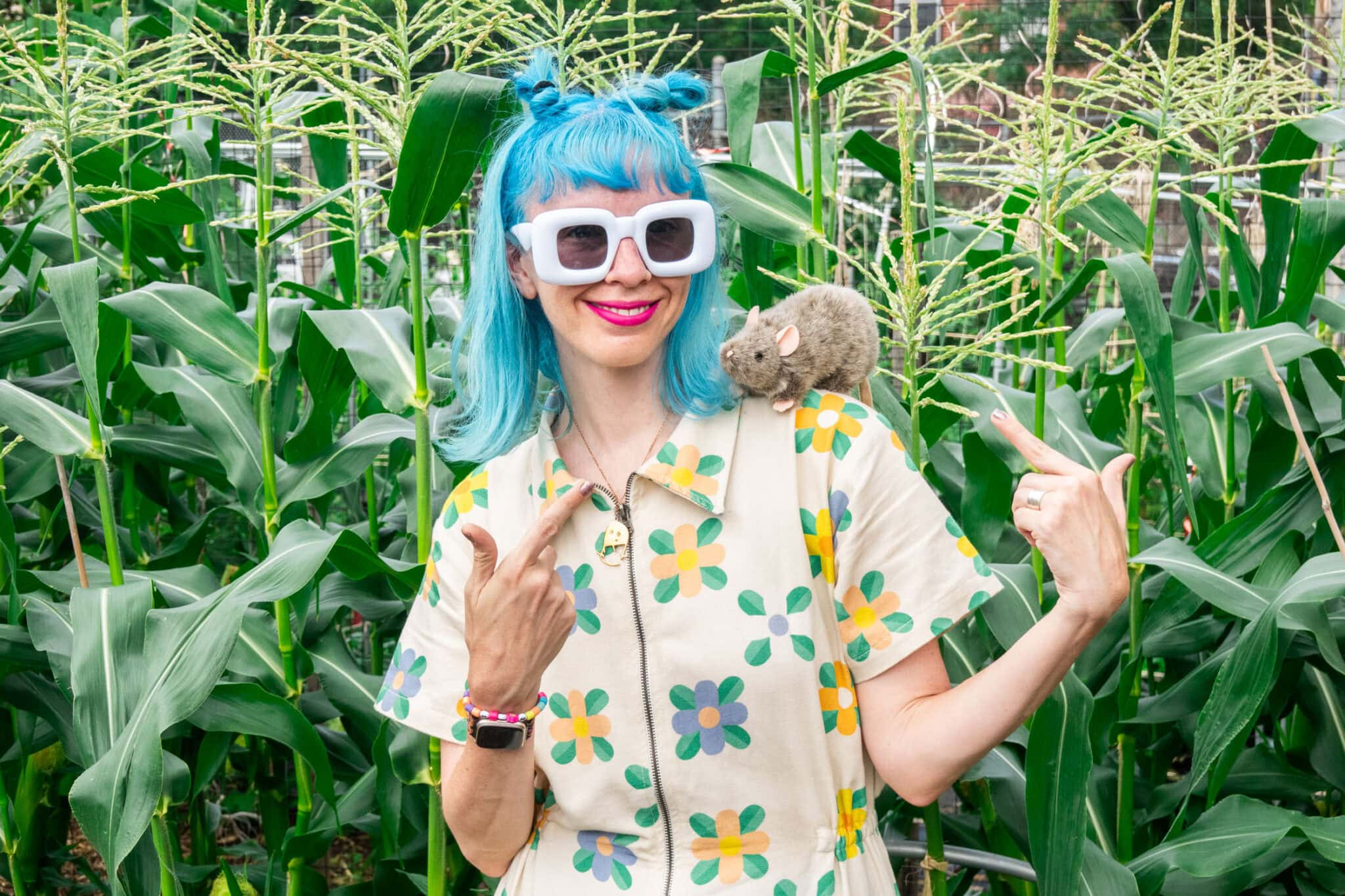 How to Protect Corn From Rats - Brooklyn Farm Girl