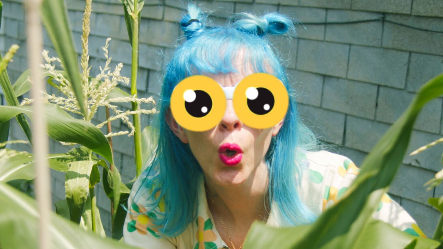 How to Protect Corn From Rats - Brooklyn Farm Girl