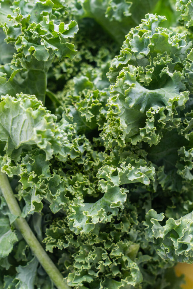 Creamy and Fresh Kale Pesto - Brooklyn Farm Girl