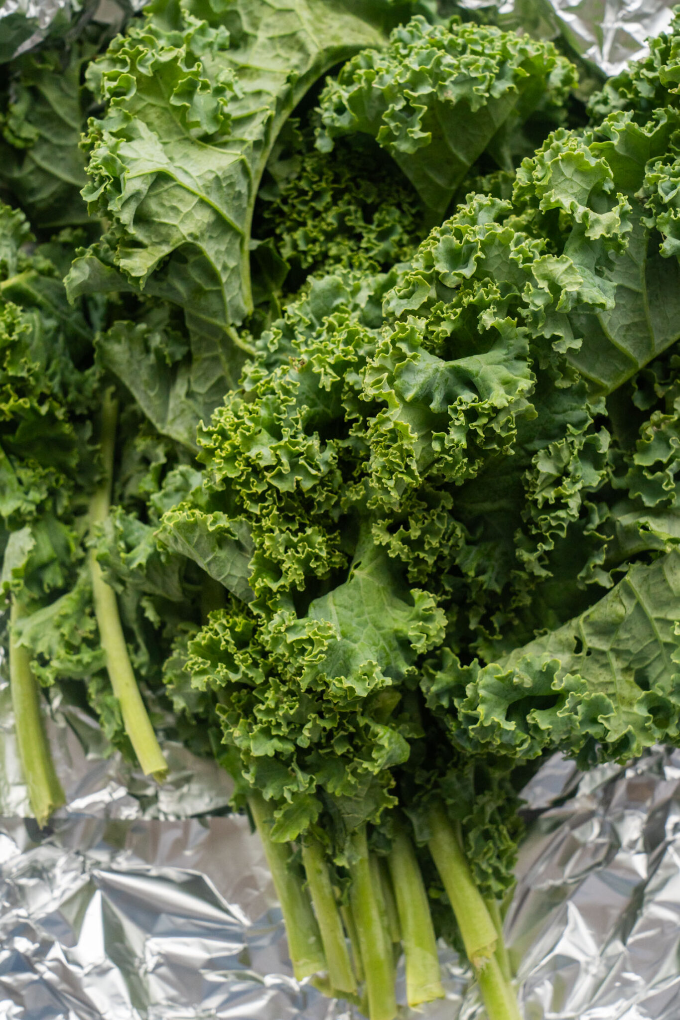 How To Store Kale To Last For Weeks (Bunch Or Chopped) - Brooklyn Farm Girl